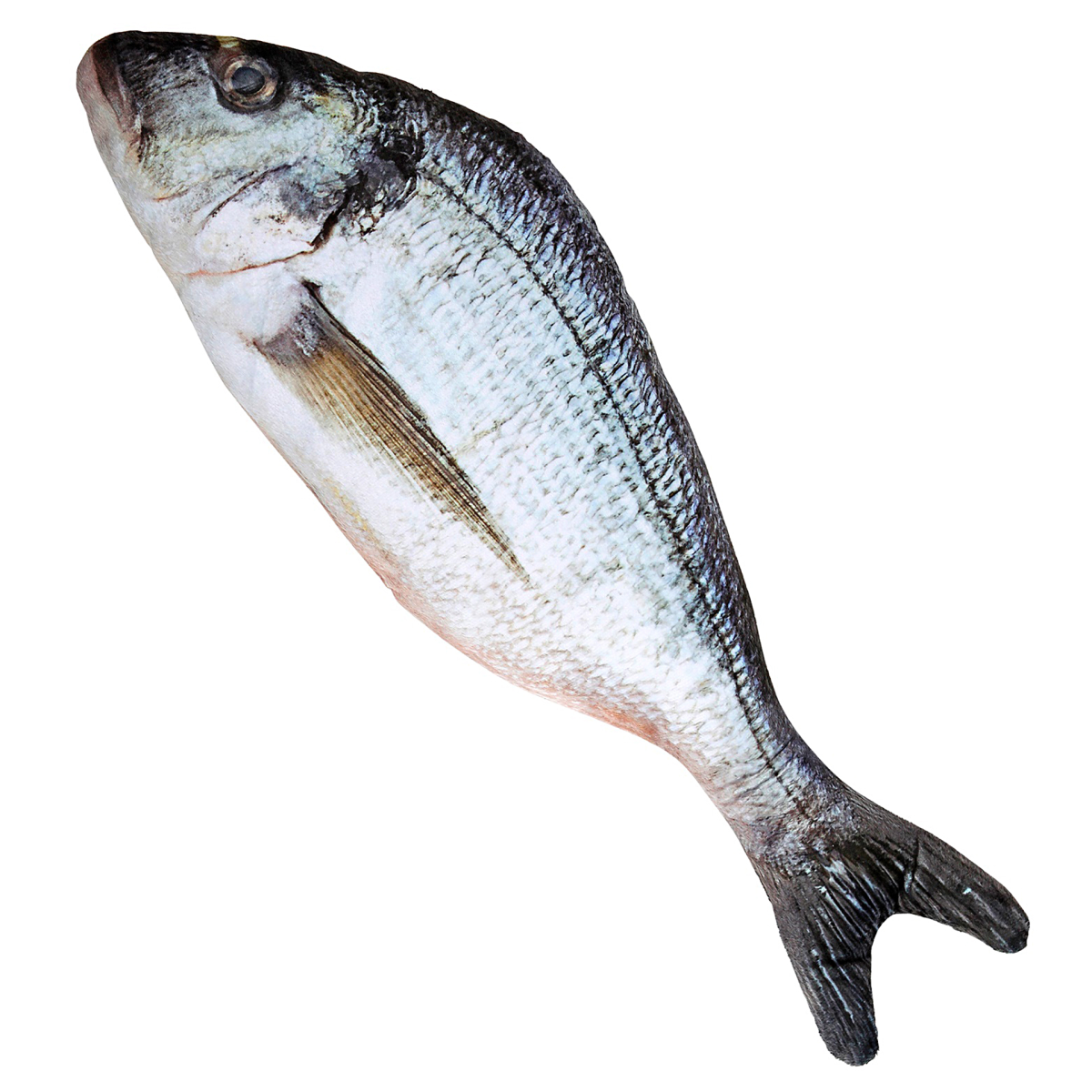Peixe Sargo 55cm | MASCARILHA