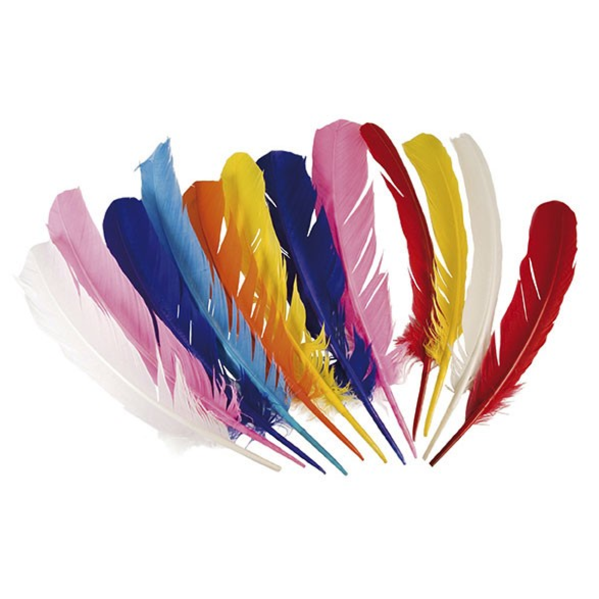 Penas coloridas 30cm Pack de 12 - Mascarilha